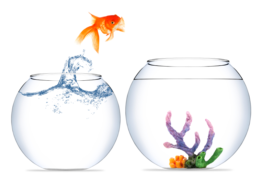 EMMY LILHOLT: Change Can Be Exciting!