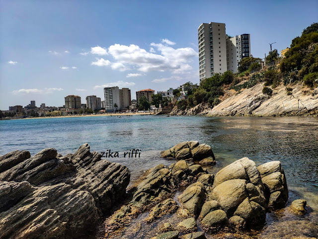 POISSON SAUREL FRIT A LA BÔNOISE ( CHINCHARD ) ET SON MATLOUE EL HOUT