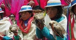 Grupos Etnicos del Ecuador: Puruhá