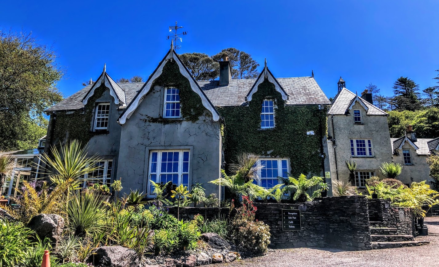 Patrick Comerford: An early summer walk in the Primeval Forest and ...