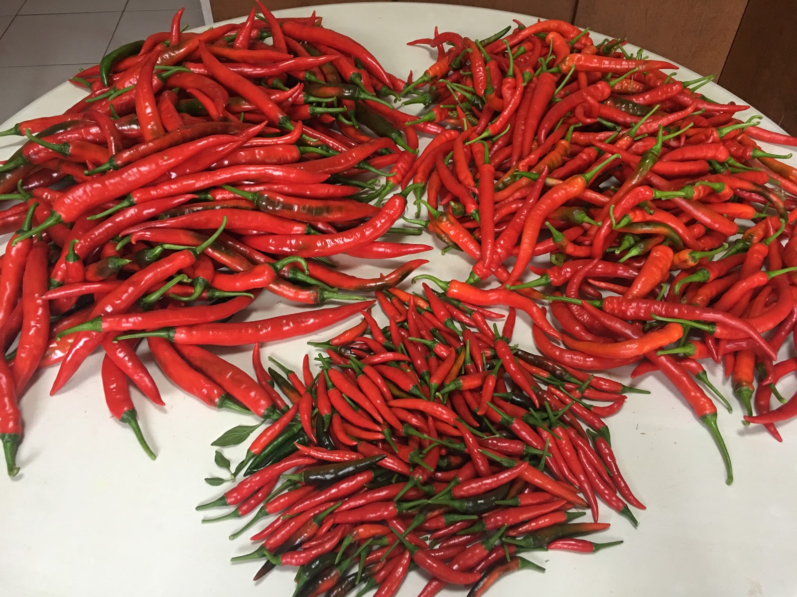 Cili Kumpulan Makanan