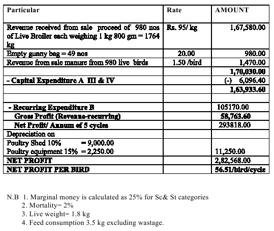 Profit in Poultry Farming ! Full Calculation - ePoultryFarm