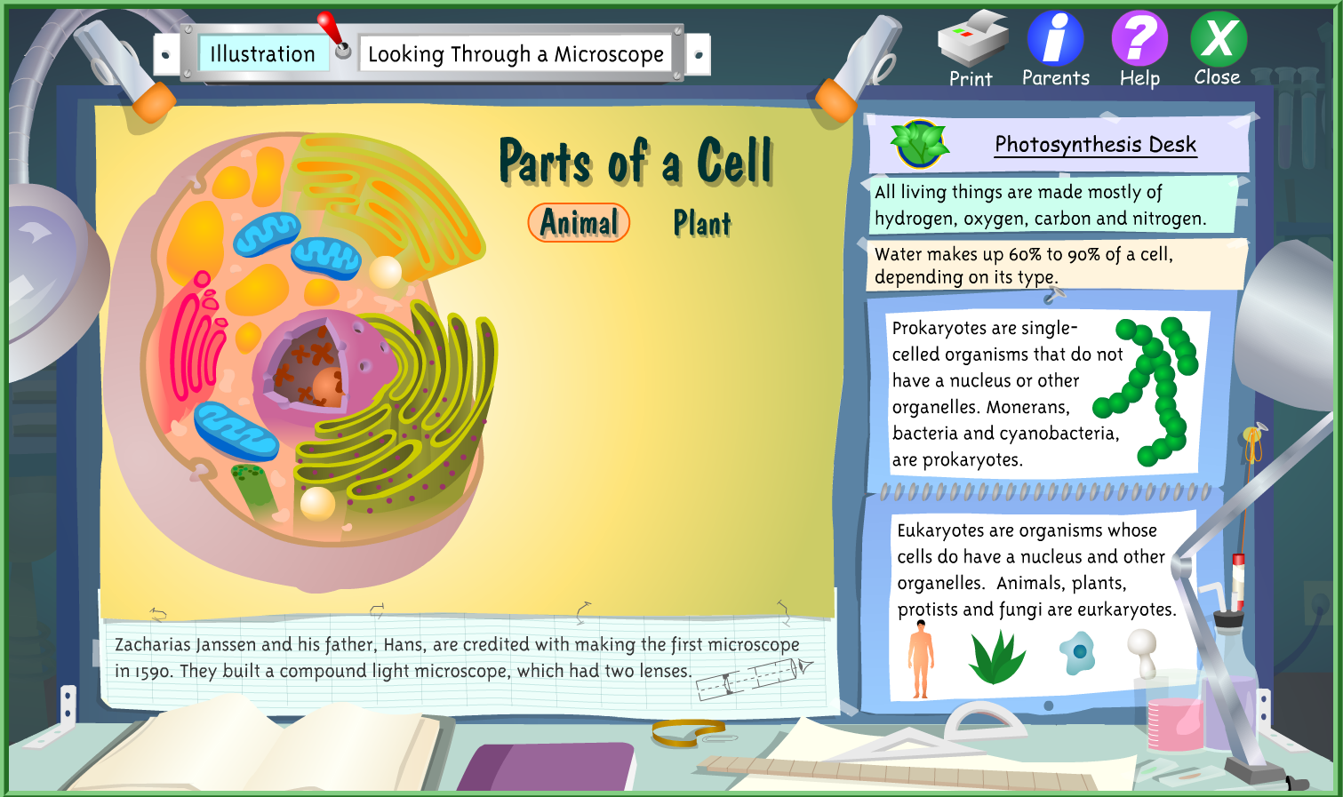Crea y aprende con Laura: 21 Interactive Cells