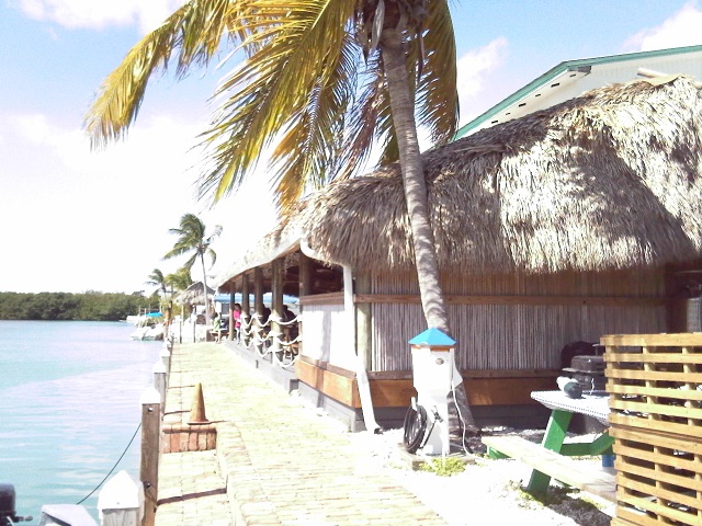 Breakfield's Book Blog: Key West...what a trip!