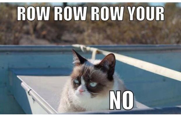 Grumpy Cat: The Best of Grumpy Cat