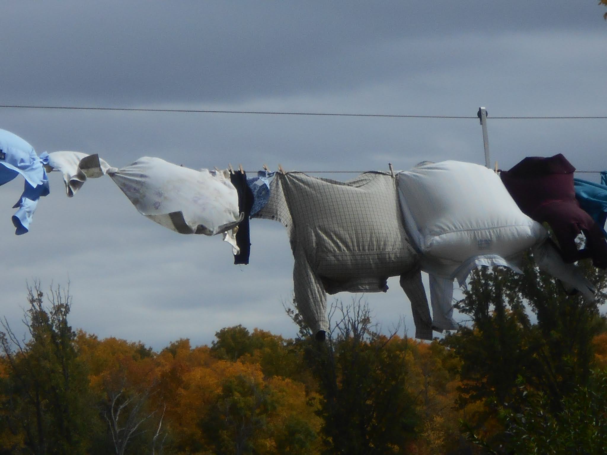 New York State of Mind: CLOTHES BLOWING IN THE WIND