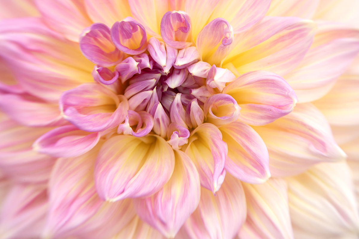 Kathleen Clemons Photography