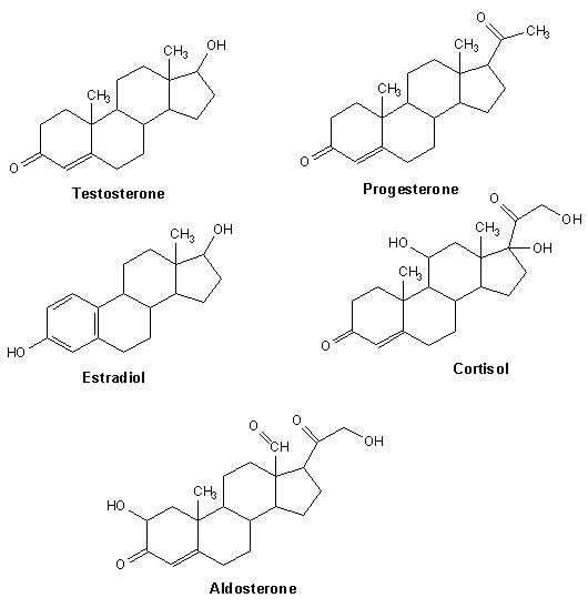 Uses and Effects of Steroid Hormone Drugs