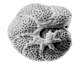 Themes of Parasitology
