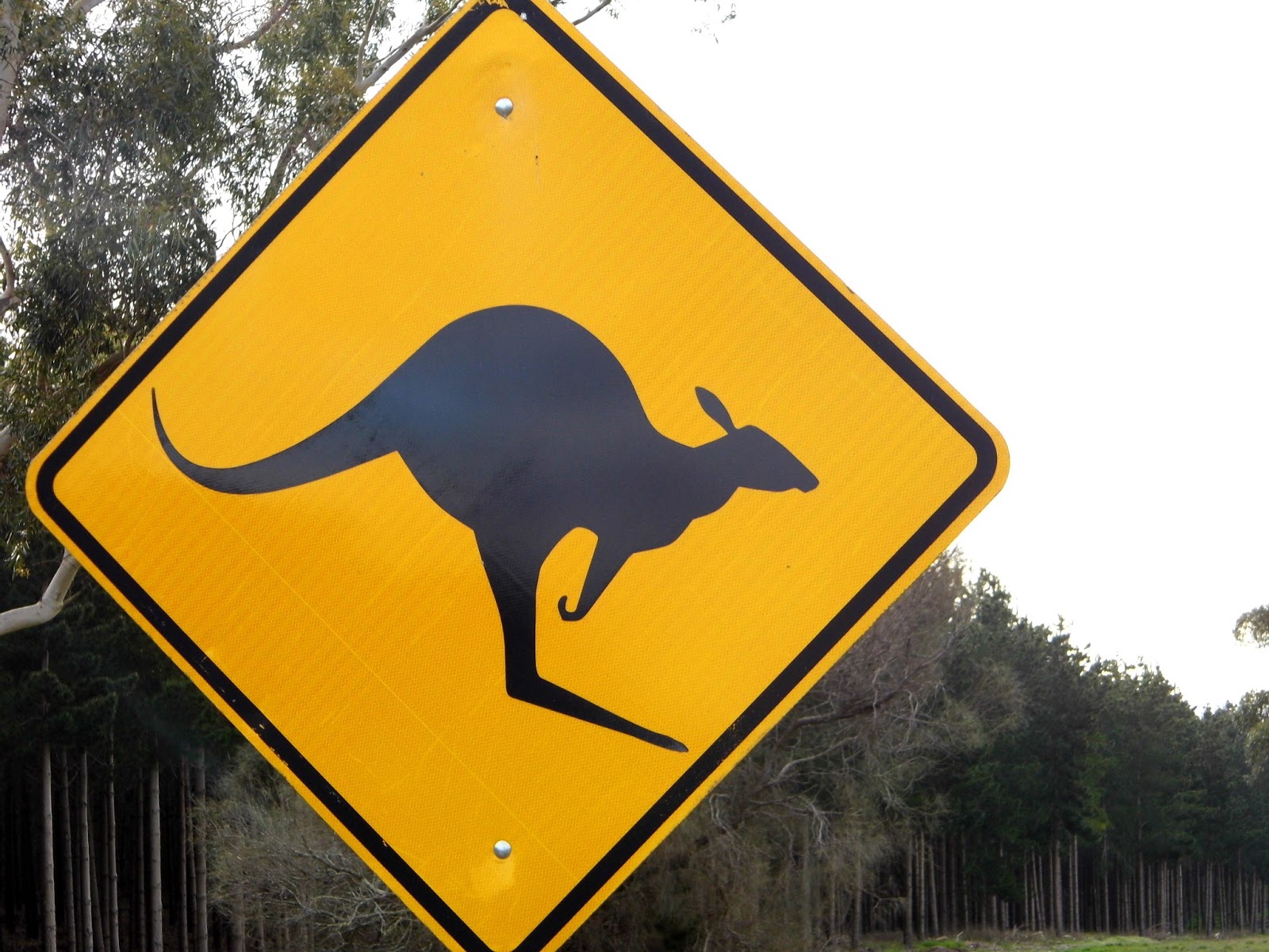 One Mother Hen: Only in my country