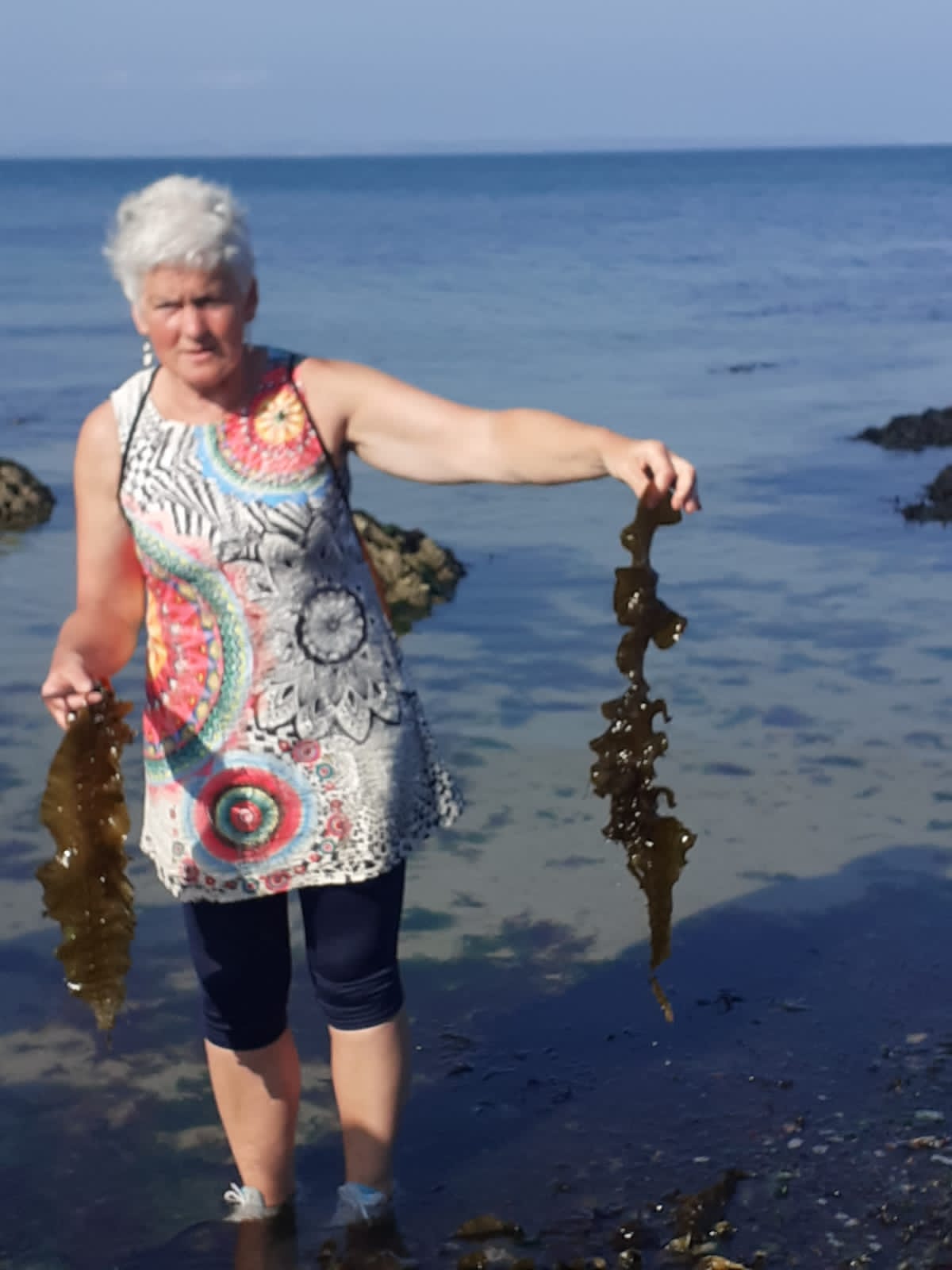 Seaweed Walk at Knockadoon – Youghal Blue and Green Community Network