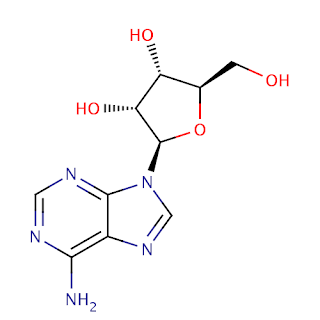 Adenosine ~ Structure of