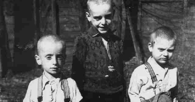 Punnett's Square: The Dutch Hunger Winter: Starvation and its Effect on ...