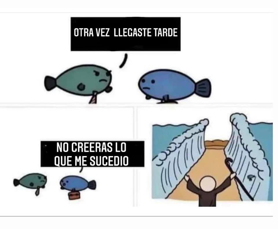 LIBROS - Librerías San Francisco: Memes 011: Otra vez llegaste tarde