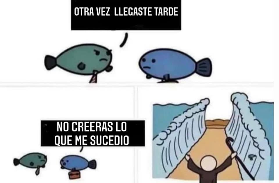 LIBROS - Librerías San Francisco: Memes 011: Otra vez llegaste tarde