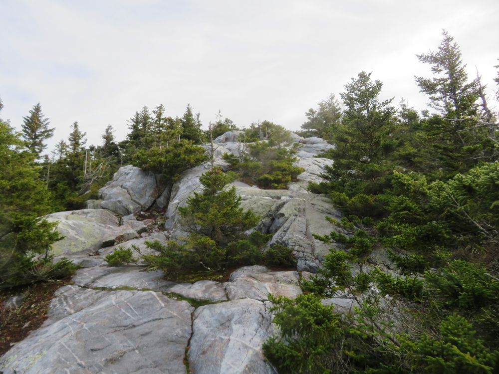 Outdoor Diversion: Mount Cube via Cross Rivendell Trail