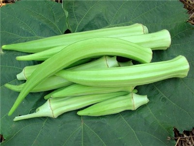 Varieties or Types of Okra - G&D Mega Farm