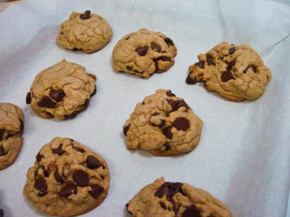 Cogito Ergo Consume: Bribe Cookies