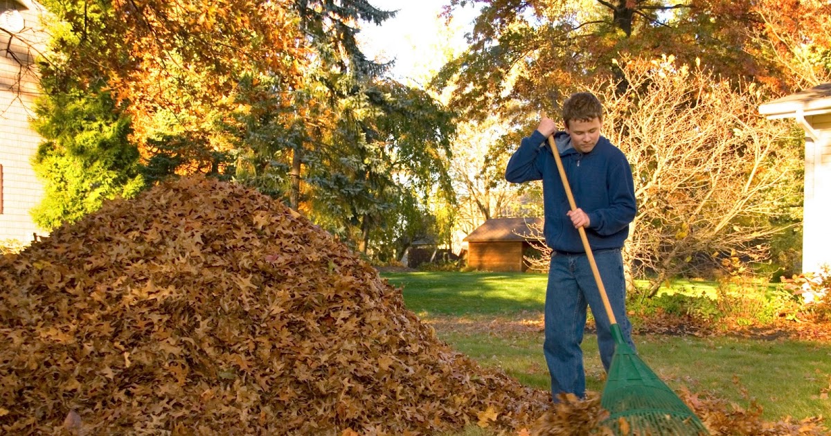 French Vocabulary Illustrated: râteau