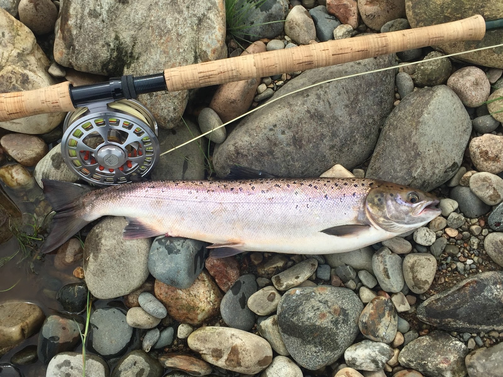 Dee & Don Salmon Fishing: August 2017