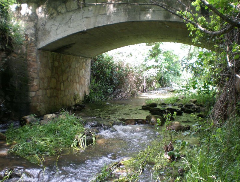 La Natura a la Baixa Tordera: Document final del projecte BeWater a la ...
