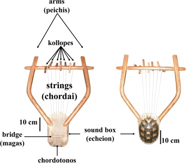 EXAMS AND ME : Lyre Sign