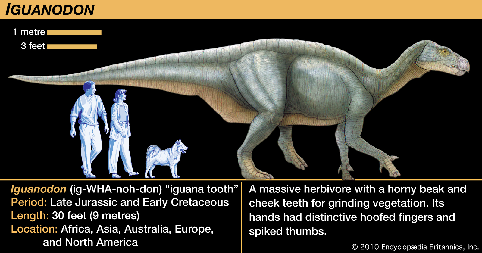 Extinct Animal of the Week: Family friendly Iguanodon