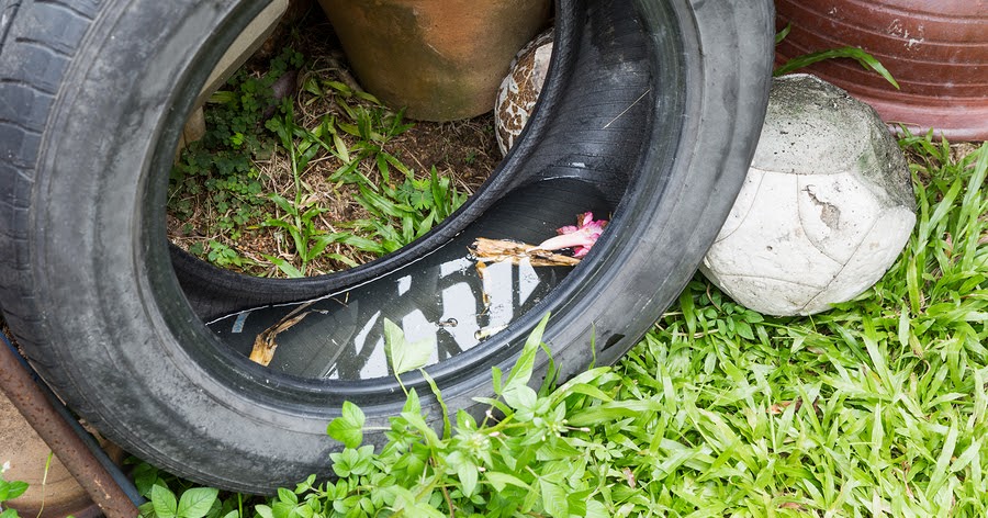 TrashTalkin'Lynn: Get Rid of Mosquito Breeding Old Tires