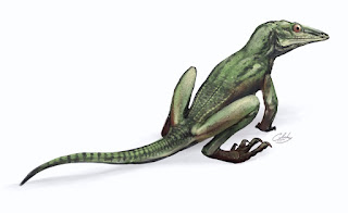 Waxing Paleontological: Hopeful Pterosaur(omorph)s