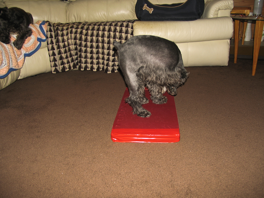 Ars Dogs: DIY Platforms