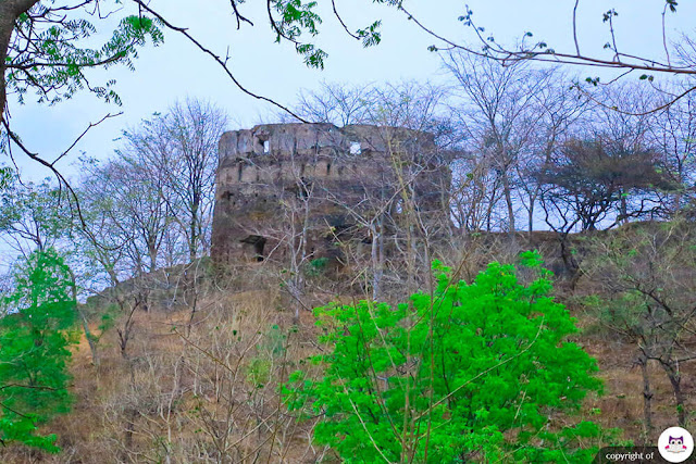 BEST PLACES VISIT TAPI DISTRICT - TOUR INDIA