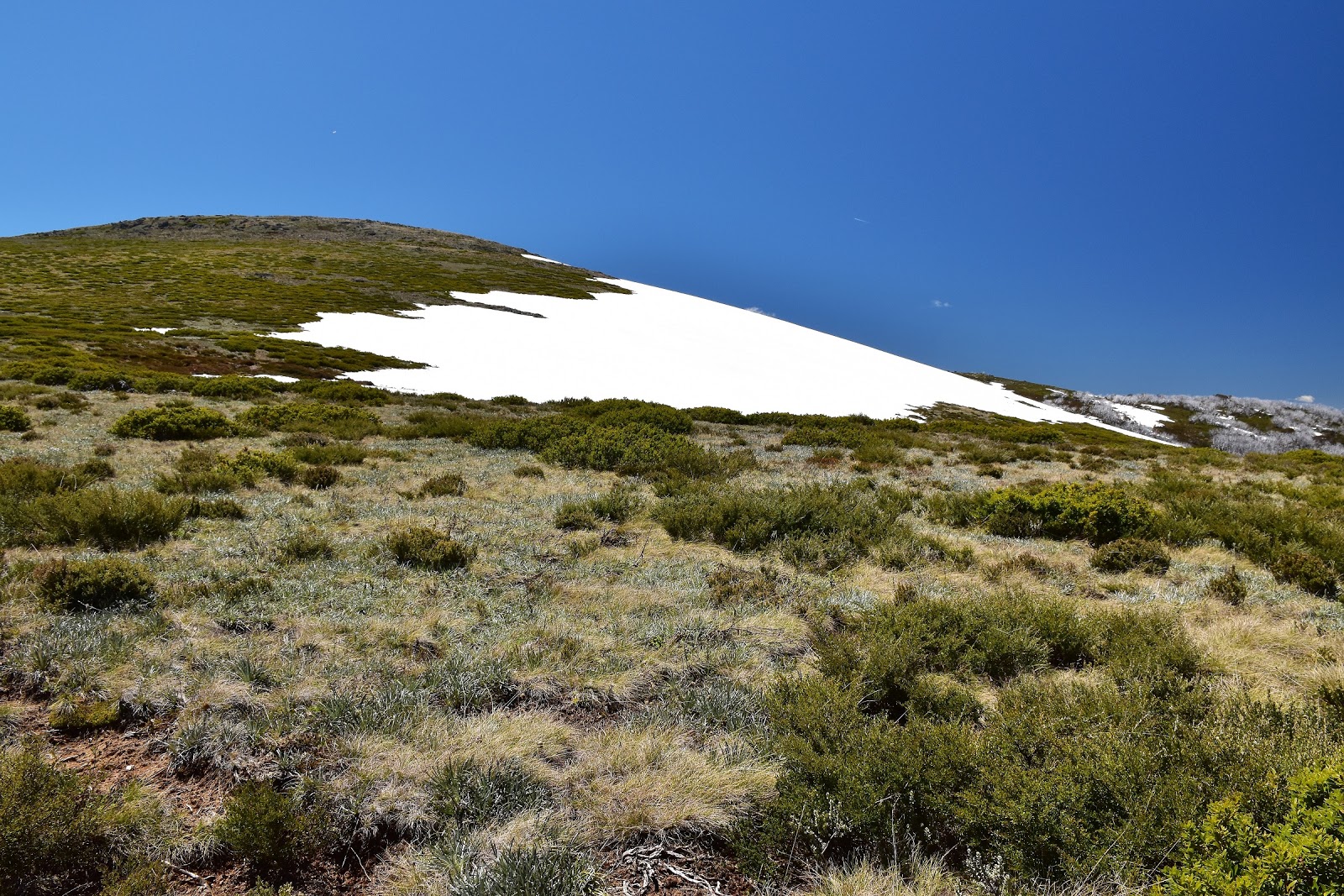 Goin' Feral One Day At A Time: Cope Hut to Big River, AAWT, Alpine ...