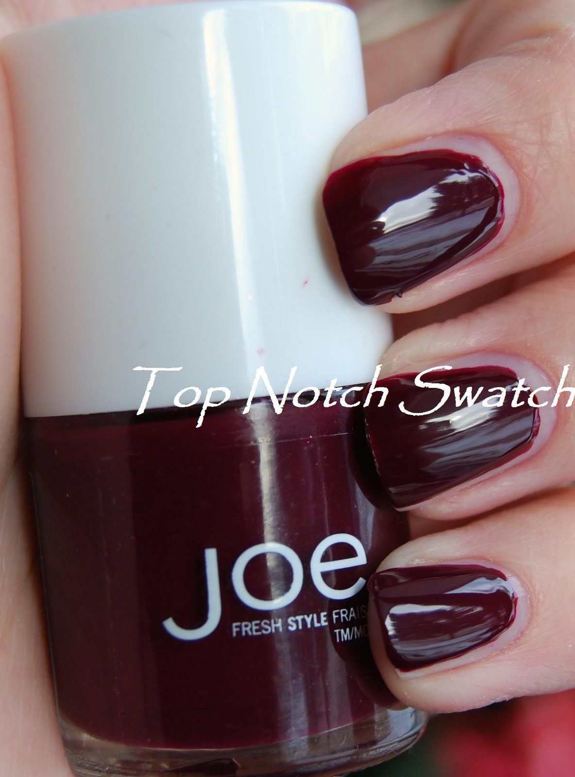 TOP NOTCH SWATCH