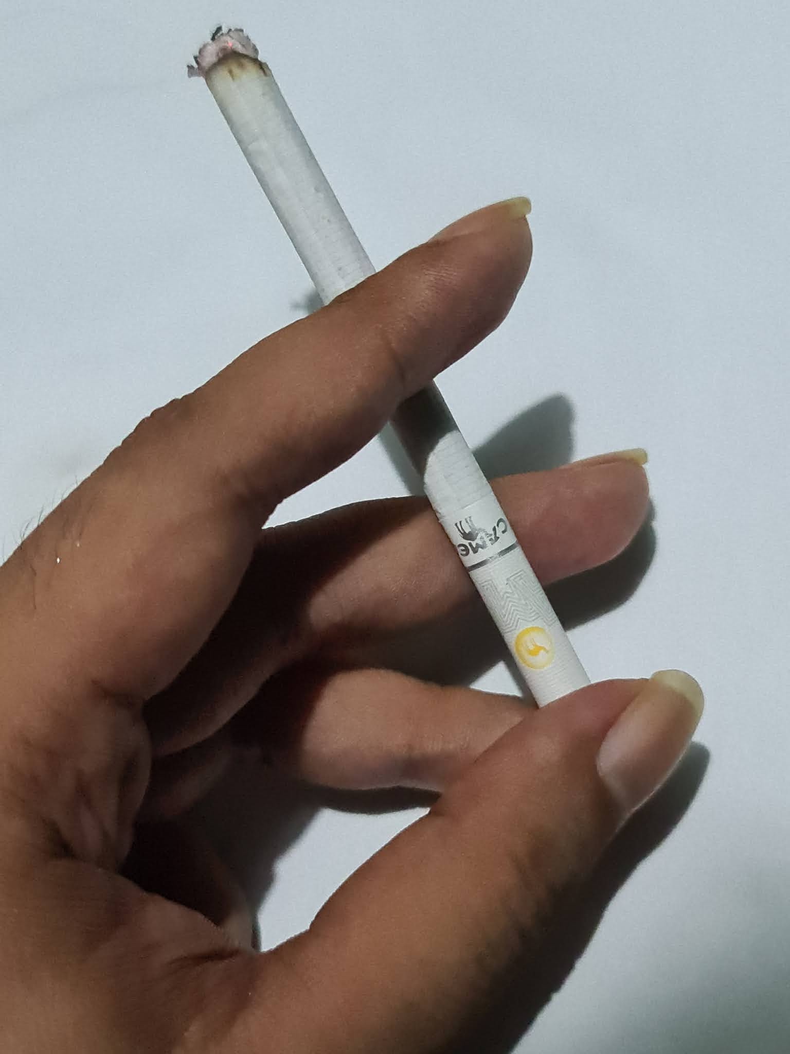 Camel Mild Option Yellow Kretek 12, SKM LTLN Pertama Di Indonesia ...