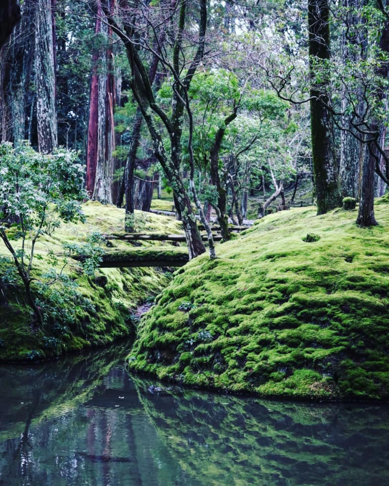 Kyoto Japon / Miso journal: La visite du temple Saihoji et le cours d ...