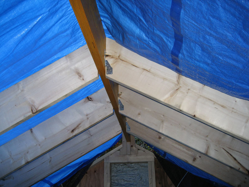 RiverEdge: Roof Rafters 2