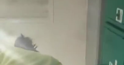 los mejores videos de colegialas bajo la falda : cole doble calzon