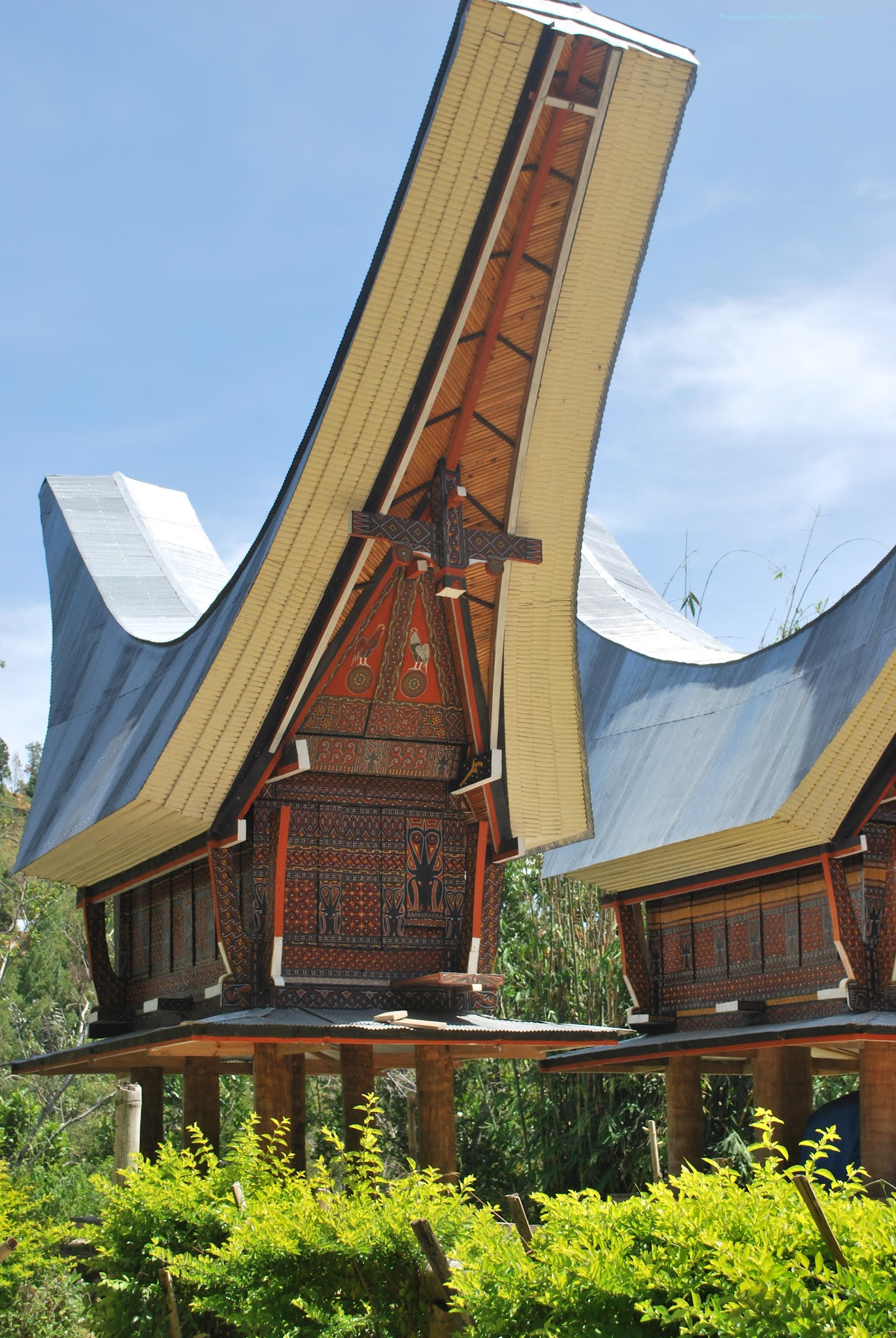 Tongkonan - Rumah Adat Toraja