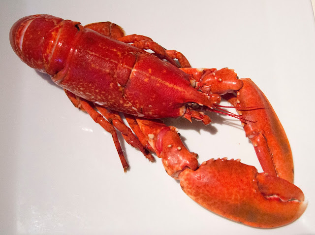 Solokokk. Mat for meg, mat for alle: Hummer Naturell