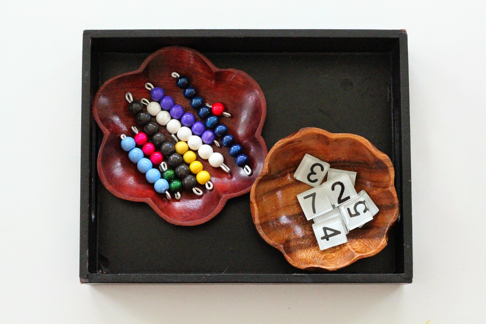 Montessori Inspired Math and Science Trays