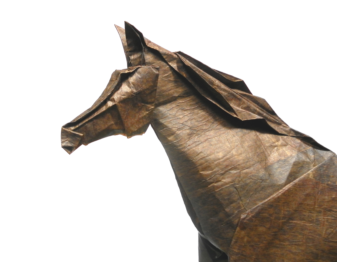 Mariano-Mi mundo el Origami: Caballo