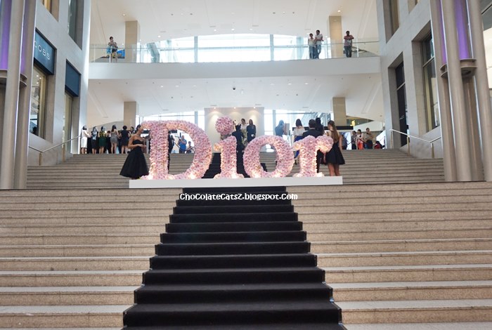 Chocolate Cats: Launch of La Collection Privée Christian Dior & Dior ...