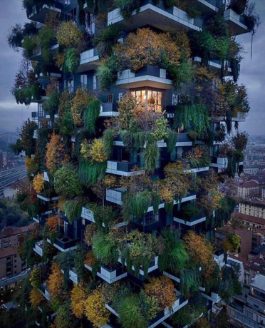 Biokipos: ΙΑΝΟΣ, ΑΣΤΙΚΟ ΠΡΑΣΙΝΟ ΚΑΙ ΟΙ ΠΡΑΣΙΝΕΣ ΠΟΛΕΙΣ ΤΟΥ ΜΕΛΛΟΝΤΟΣ