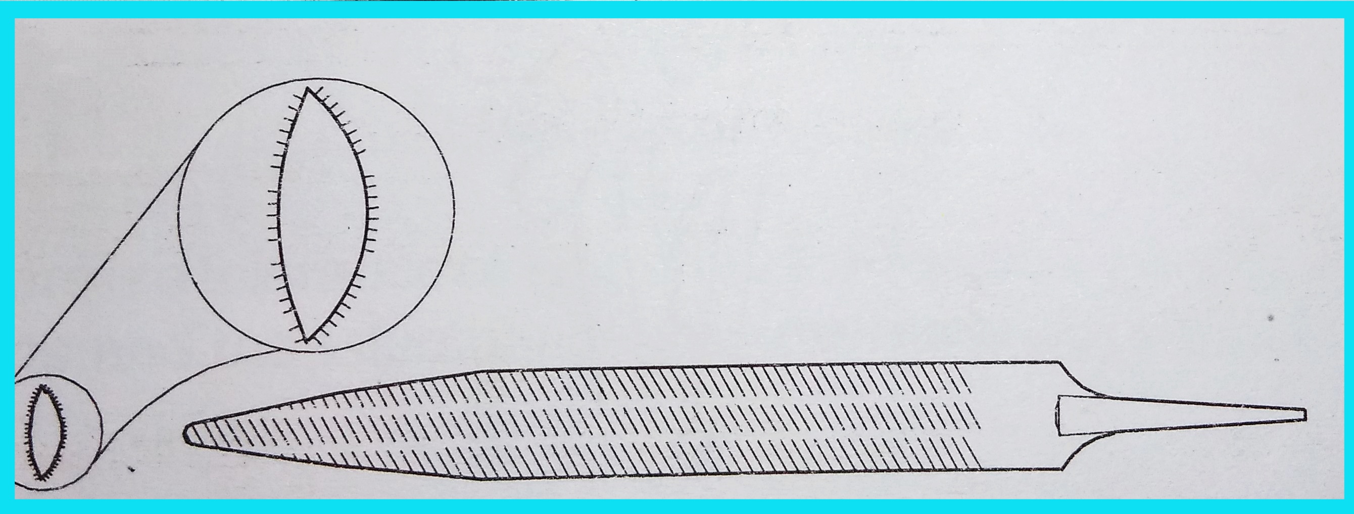 Types of file part- 2 / Types of file according to Shape / Special ...