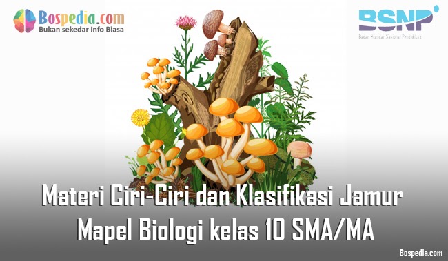 Materi Ciri-Ciri dan Klasifikasi Jamur Mapel Biologi kelas 10 SMA/MA ...