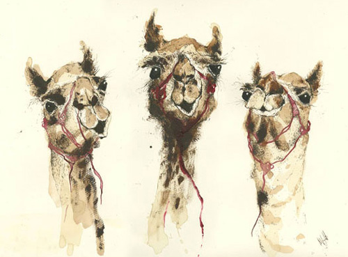 My Owl Barn: Anna Wright