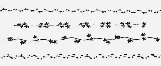 Kdopak to chodí po zahradě? Aneb stopy ve sněhu. | Vysněná zahrada