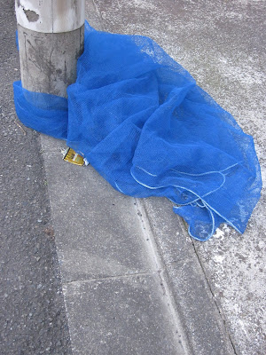 The Japan Chronicles: Crows in Japan: Menace or Guide of the Gods?