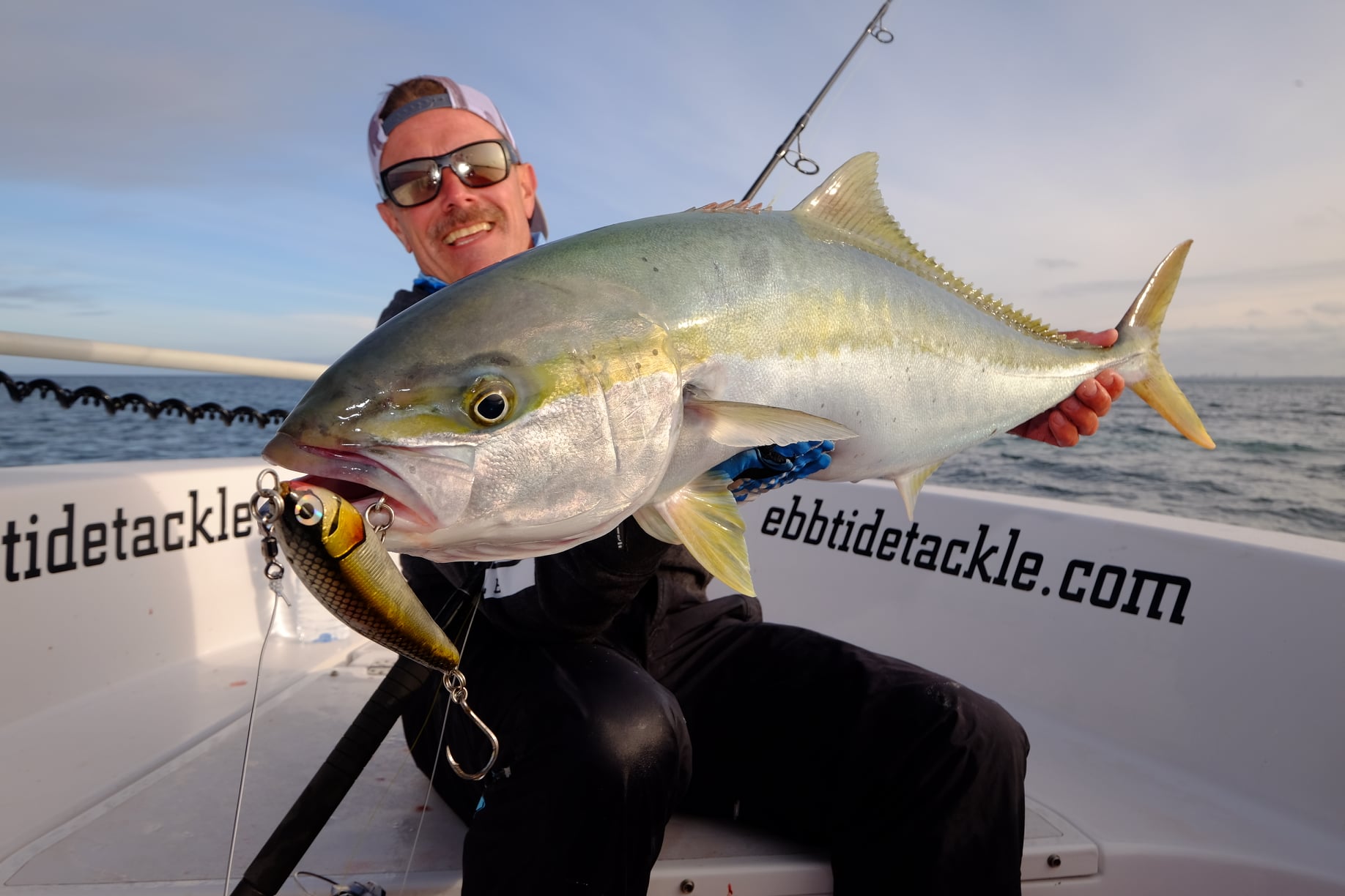 Yellowtail Kingfish