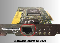 EVERYTHING : Network Interface Controller/Card (NIC)